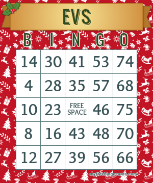 EVS BINGO