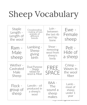 Sheep Vocabulary Bingo