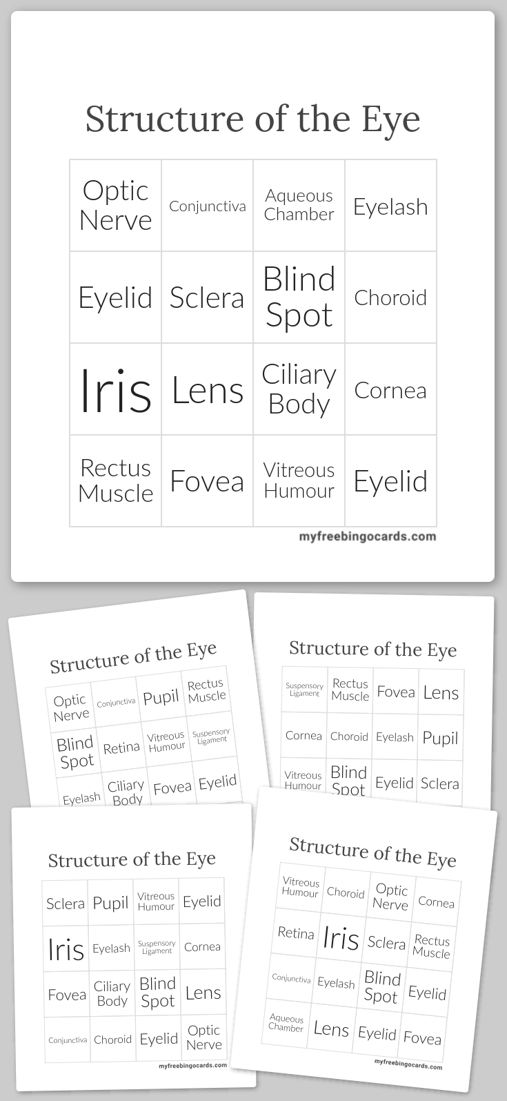 Virtual Structure of the Eye Bingo
