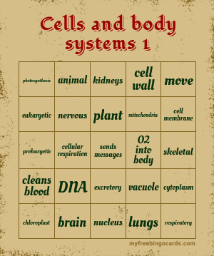 Cells and body systems 1 Bingo