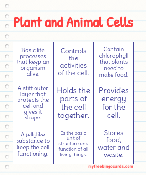 Plant and Animal Cells Bingo
