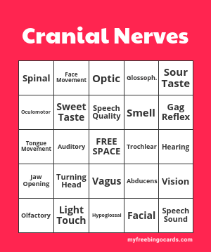 Cranial Nerves Bingo