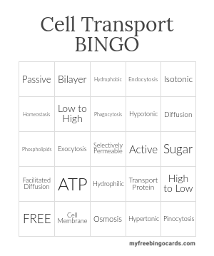 Cell Transport BINGO