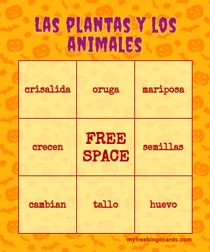 Las plantas y los animales Bingo