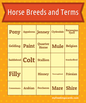 Horse Breeds and Terms Bingo