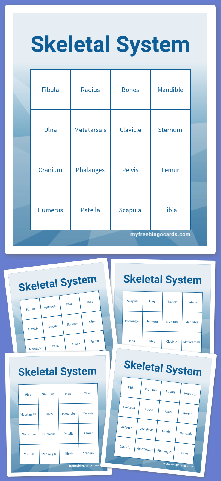 Virtual Skeletal System Bingo