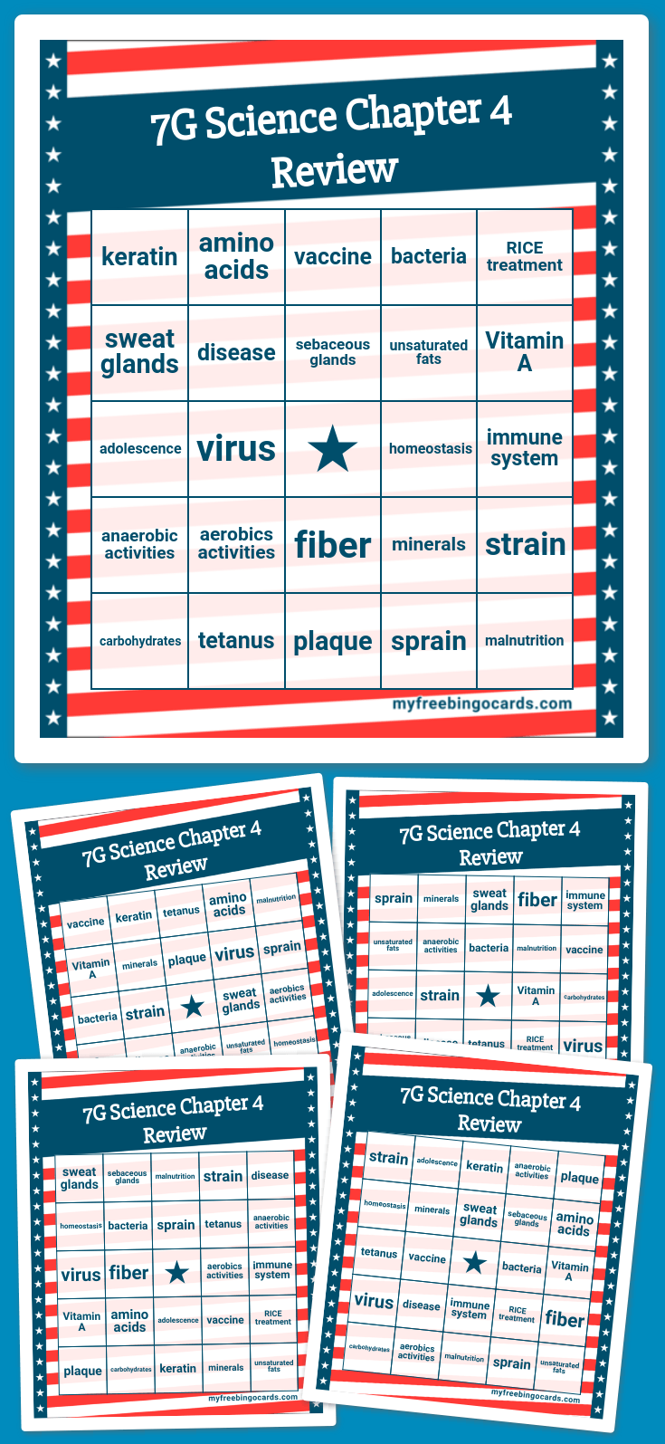 Virtual 7G Science Chapter 4 Review Bingo