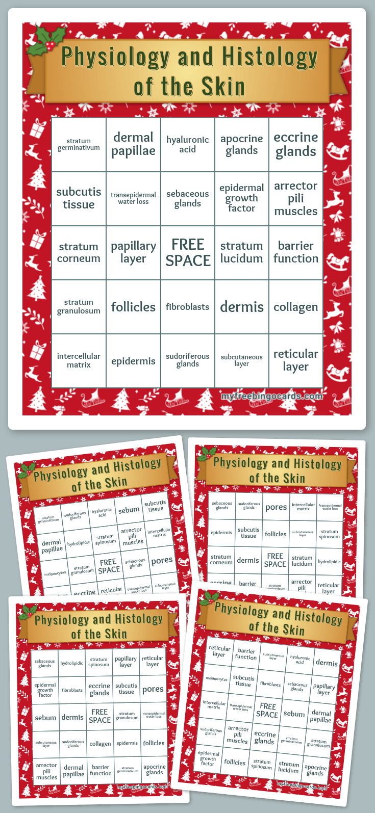 Virtual Physiology and Histology of the Skin Bingo