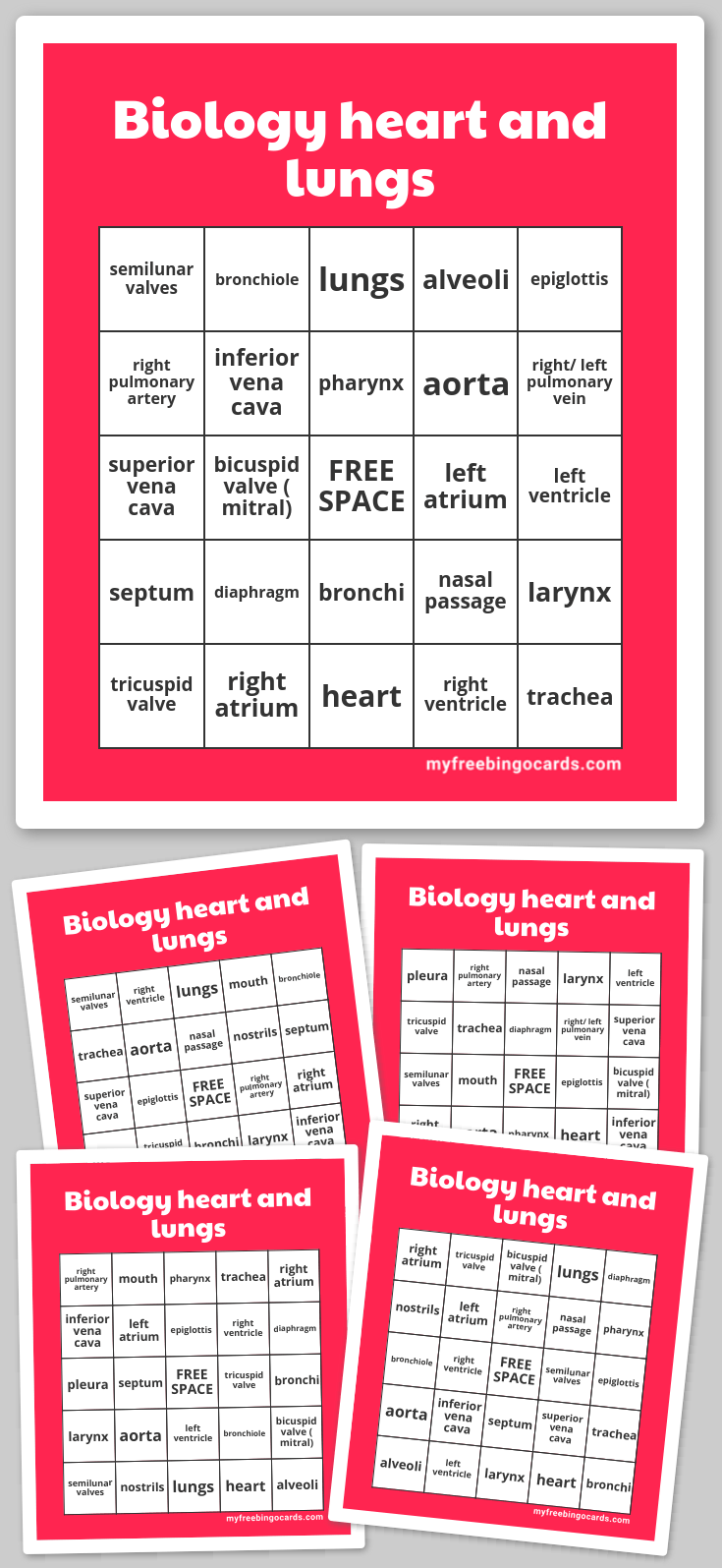 Virtual Biology heart and lungs Bingo