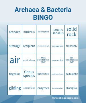 Archaea & Bacteria BINGO