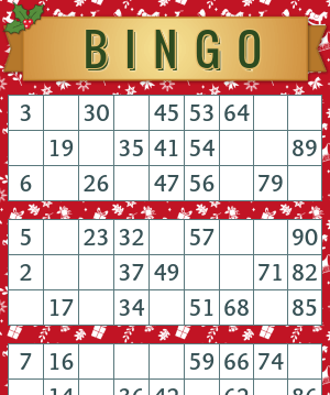 1-90 Number Bingo