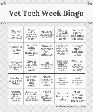 Vet Tech Week Bingo