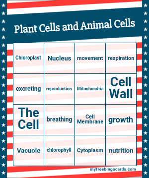 Plant Cells and Animal Cells Bingo