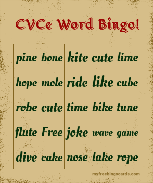 CVCe Word Bingo!