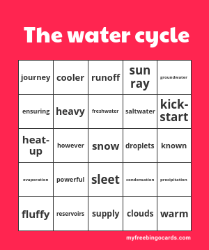 The water cycle Bingo