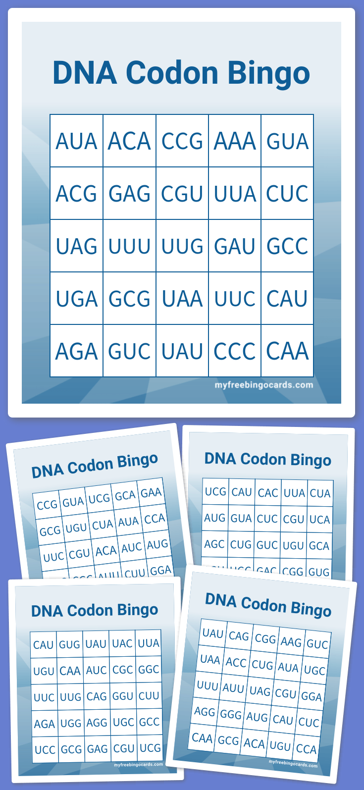 Virtual DNA Codon Bingo