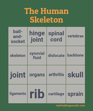 The Human Skeleton Bingo