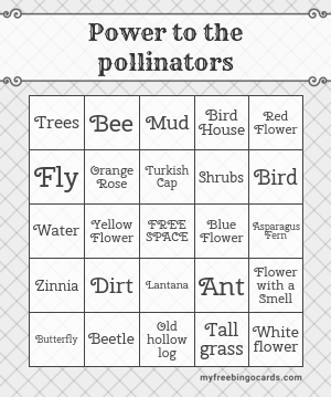 Power to the pollinators Bingo