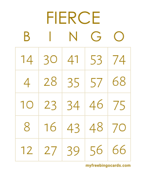 FIERCE BINGO