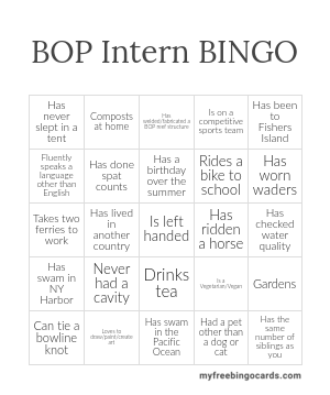 BOP Intern BINGO