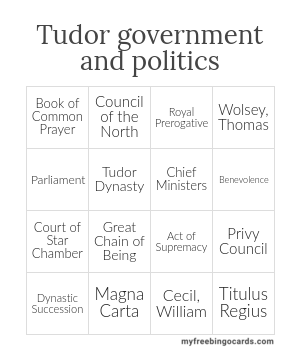 Tudor government and politics Bingo