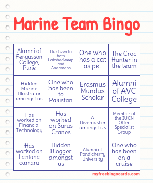 Marine Team Bingo