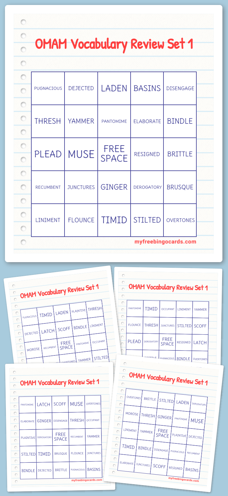 Virtual OMAM Vocabulary Review Set 1 Bingo