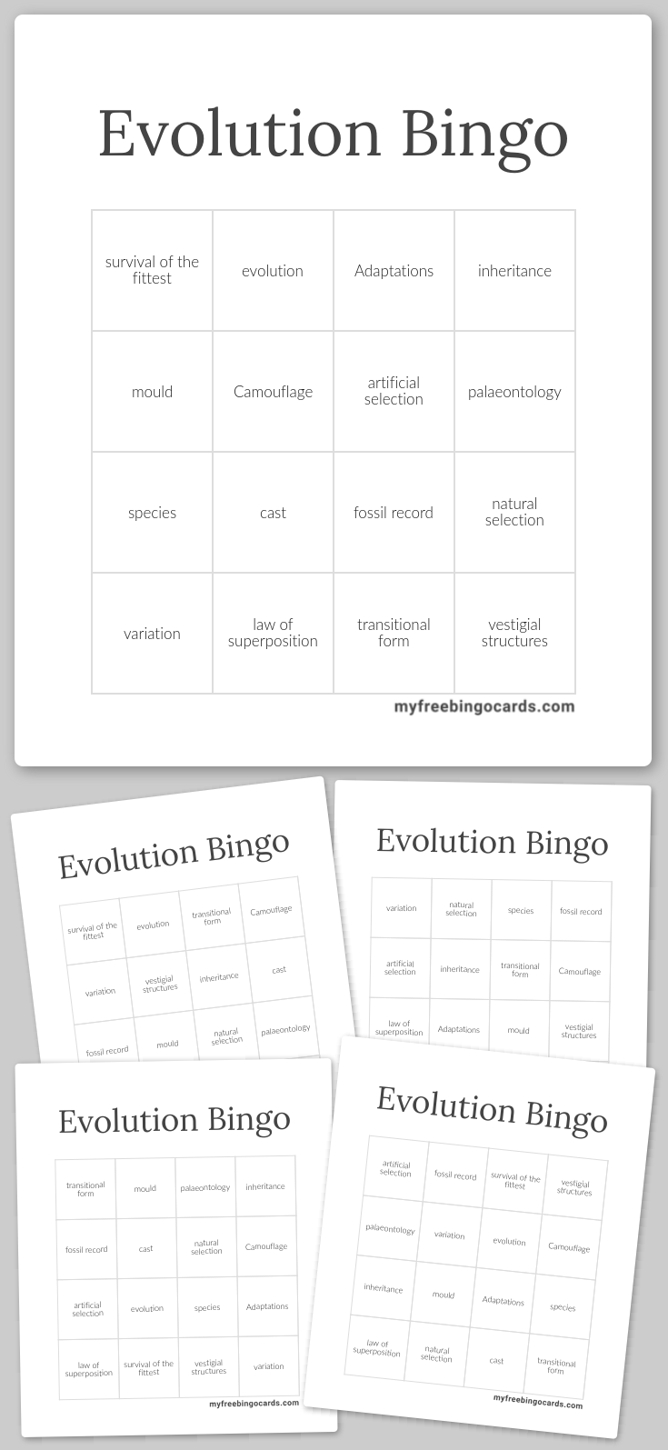 Virtual Evolution Bingo