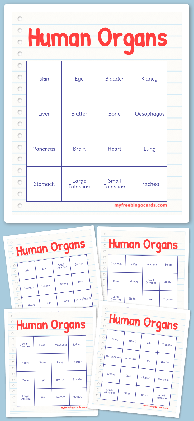 Virtual Human Organs Bingo