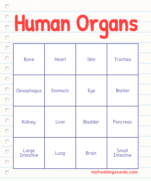 Human Organs Bingo