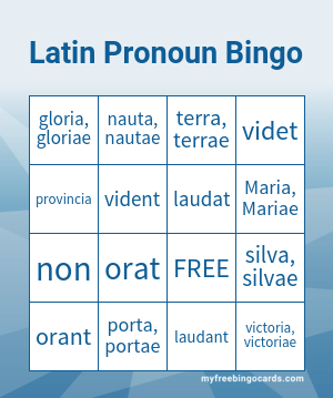 Latin Pronoun Bingo