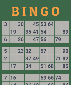 1-90 Number Bingo