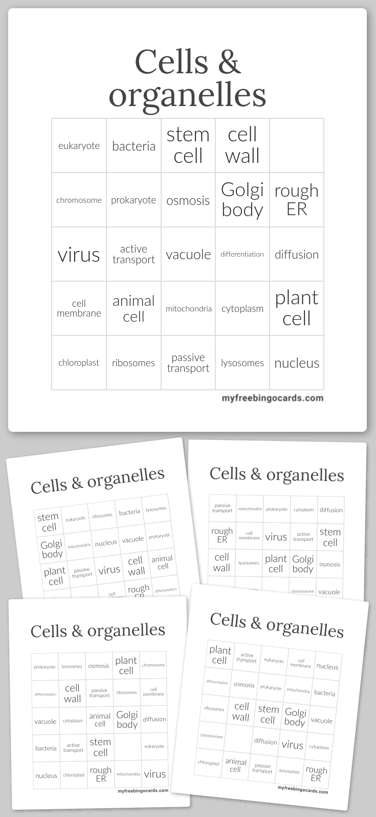 Virtual Cells & organelles Bingo