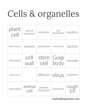Cells & organelles Bingo