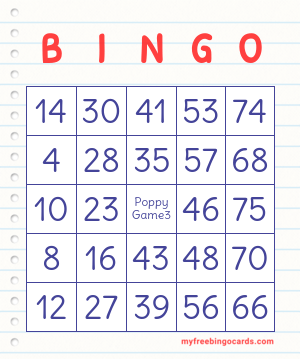 1-75 Number Bingo