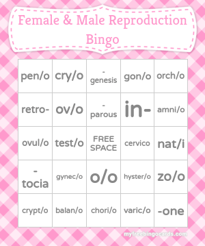 Female & Male Reproduction Bingo