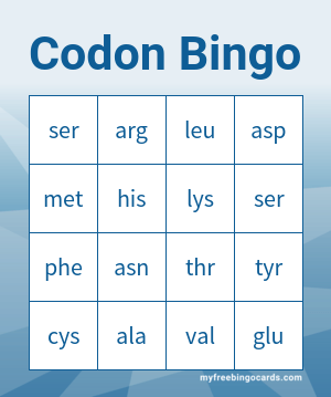 Codon Bingo
