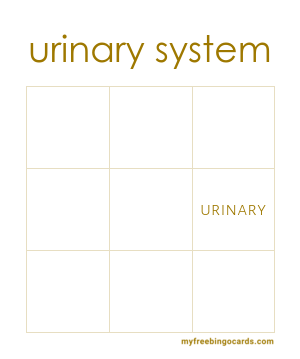 urinary system bingo