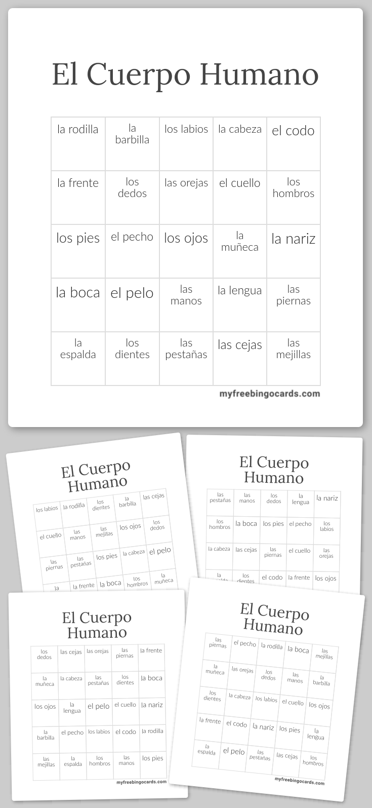 Virtual El Cuerpo Humano Bingo