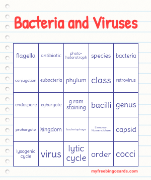 Bacteria and Viruses Bingo