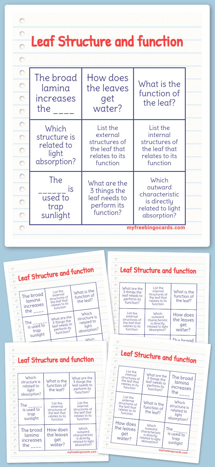 Virtual Leaf Structure and function Bingo