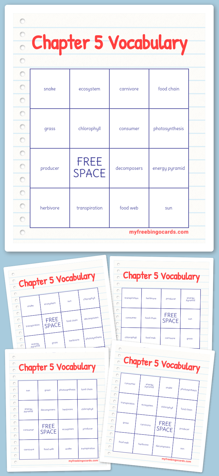 Virtual Chapter 5 Vocabulary Bingo