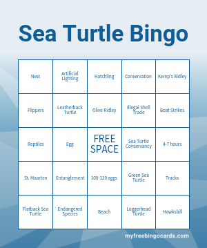 Sea Turtle Bingo