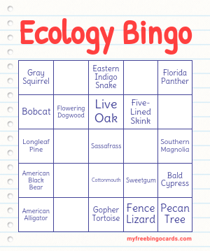 Ecology Bingo