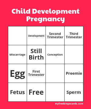 Child Development Pregnancy Bingo