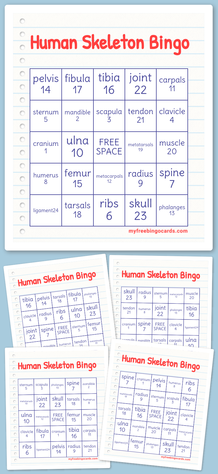 Virtual Human Skeleton Bingo