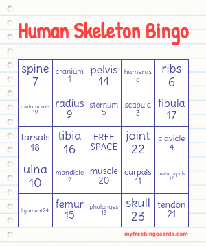 Print 100+ Human Skeleton Bingo Cards